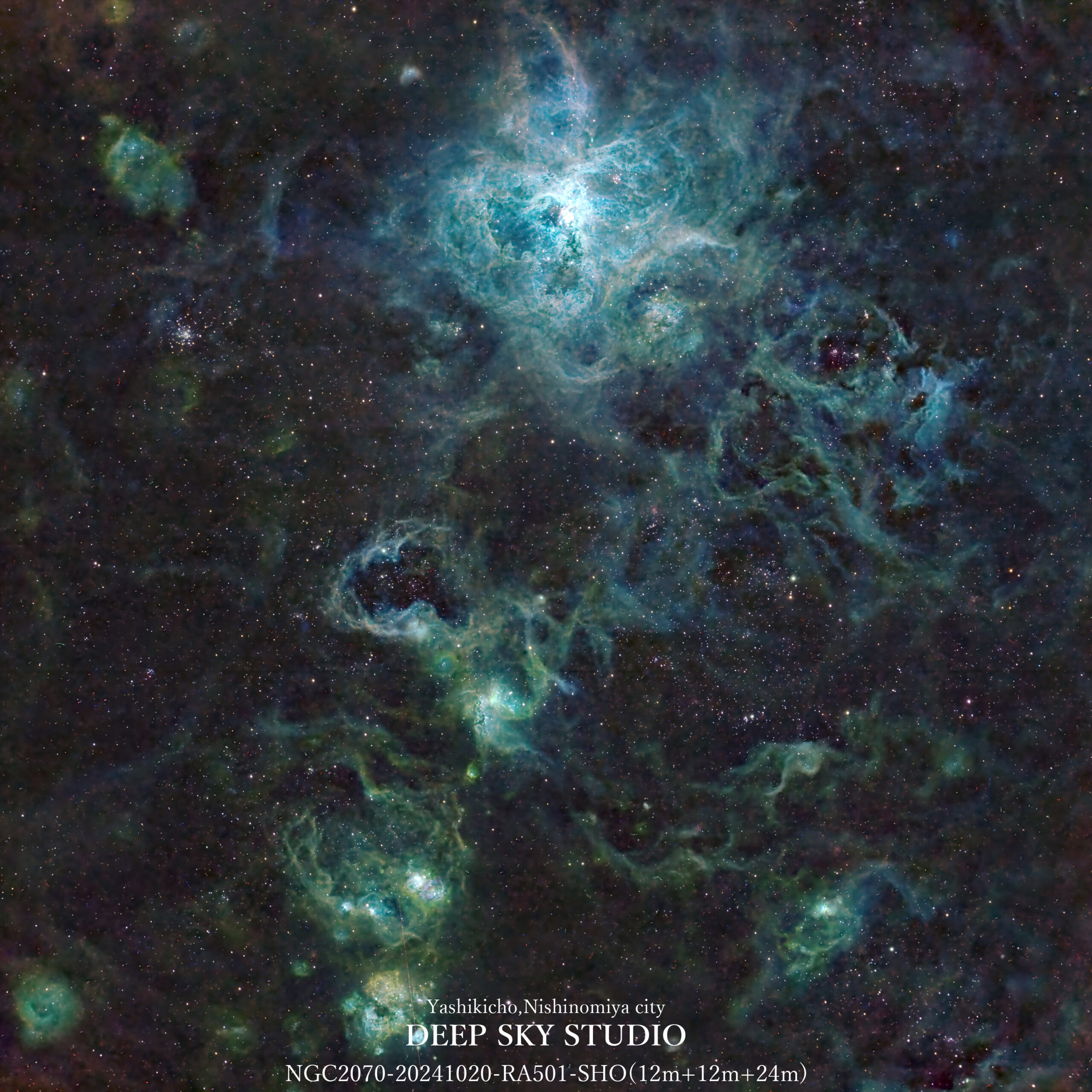 南半球タランチュラ星雲/リコー天体撮影サービス - DEEP SKY STUDIO